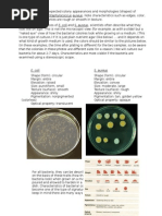 Biochemical Test Chart | PDF | Microbiology | Prokaryote