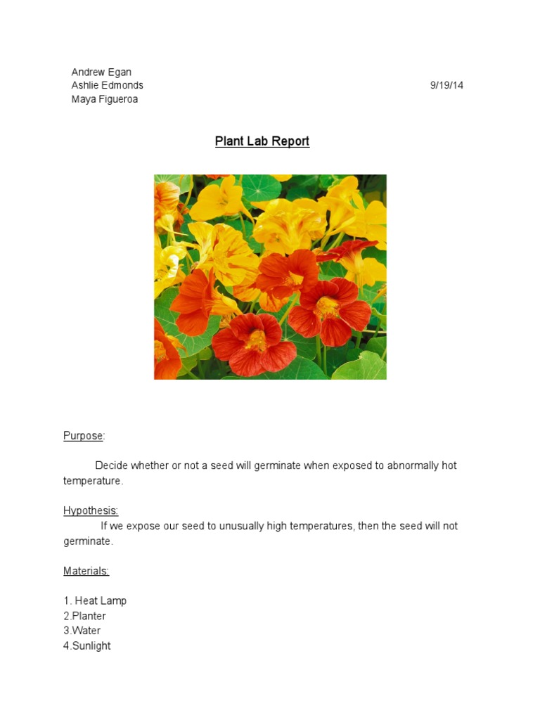 Seed Germination in High Heat | PDF