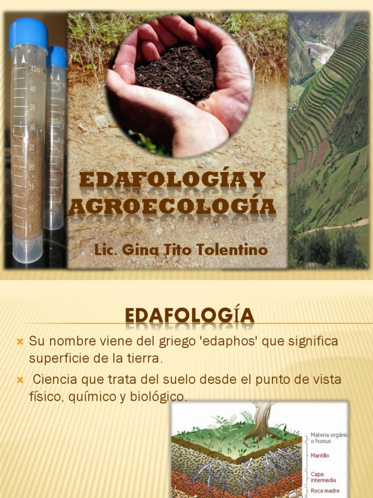 EDAFOLOGÍA | PDF | Suelo | Ciencia del suelo