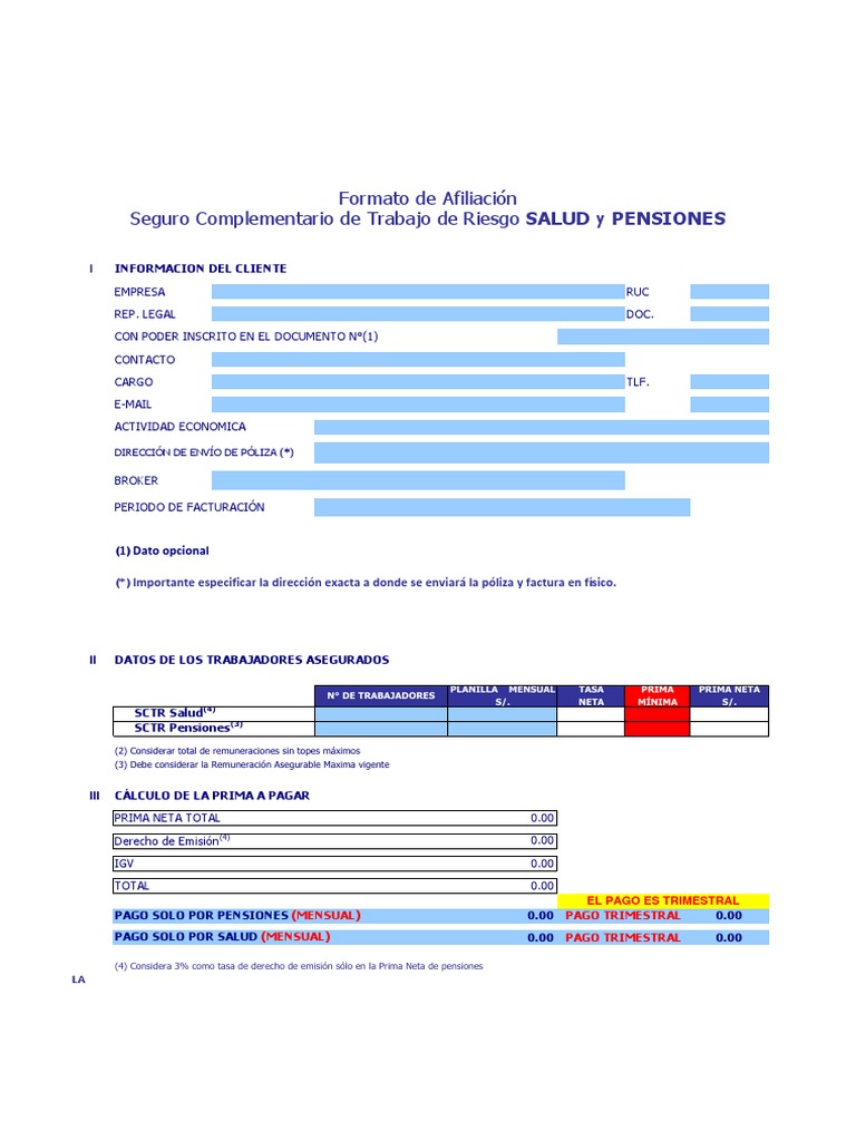 Formato SCTR | PDF