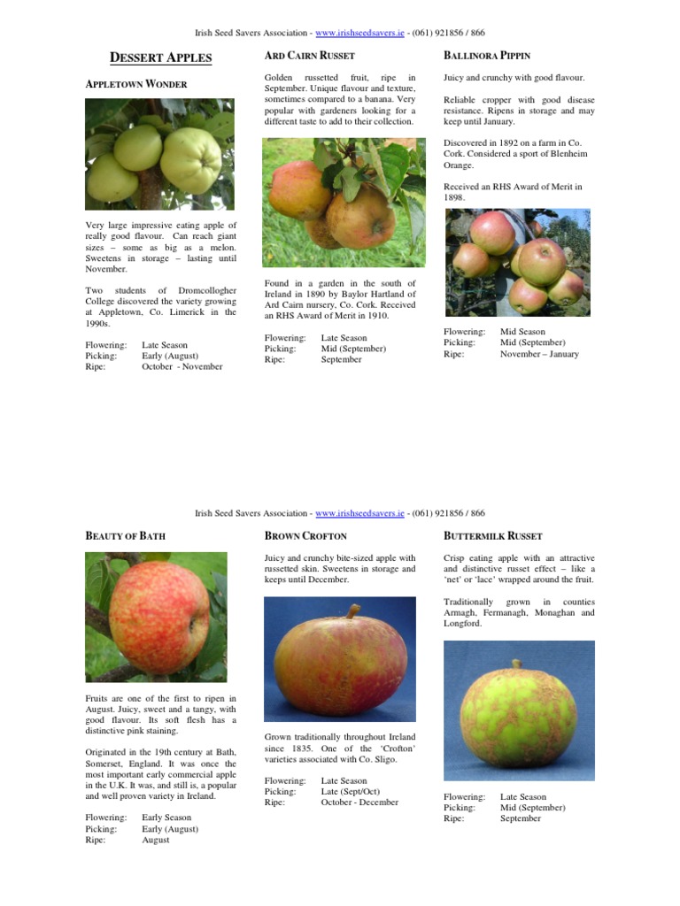 Irish Heritage Apple Varieties | PDF | Apple | Trees