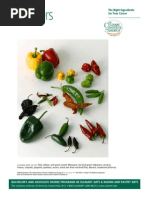 Introduction To Culinary Arts | PDF | Foods | Culinary Arts