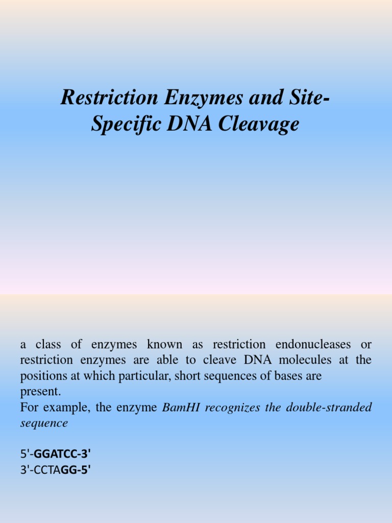 Restriction Enzymes | PDF | Restriction Enzyme | Nucleotides