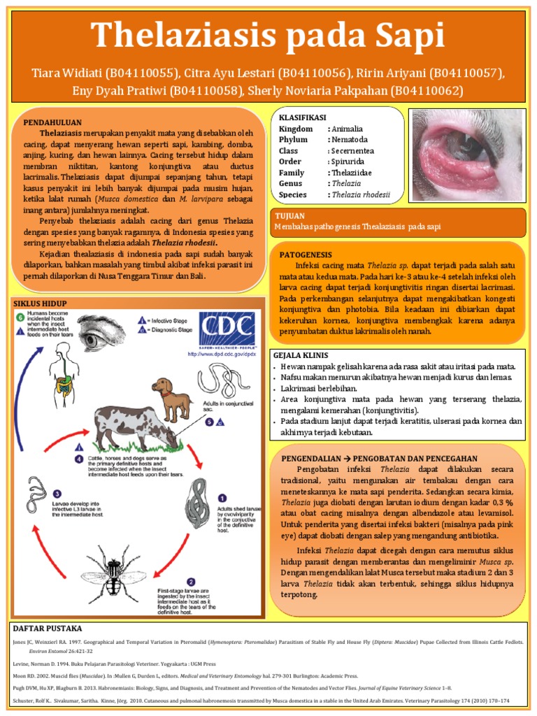 Thelaziasis Poster | PDF