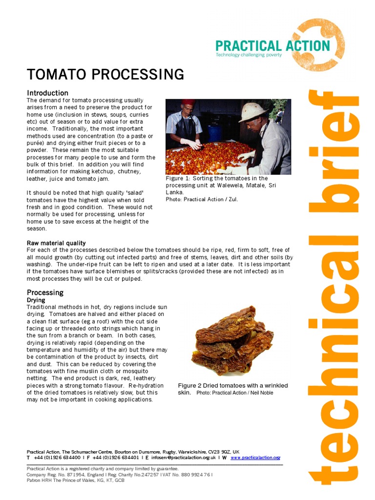 Techniques For Preserving The Harvest A Guide To Processing Tomatoes
