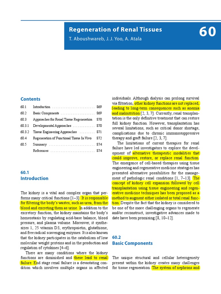 Engineering Renal | PDF | Kidney | Tissue Engineering