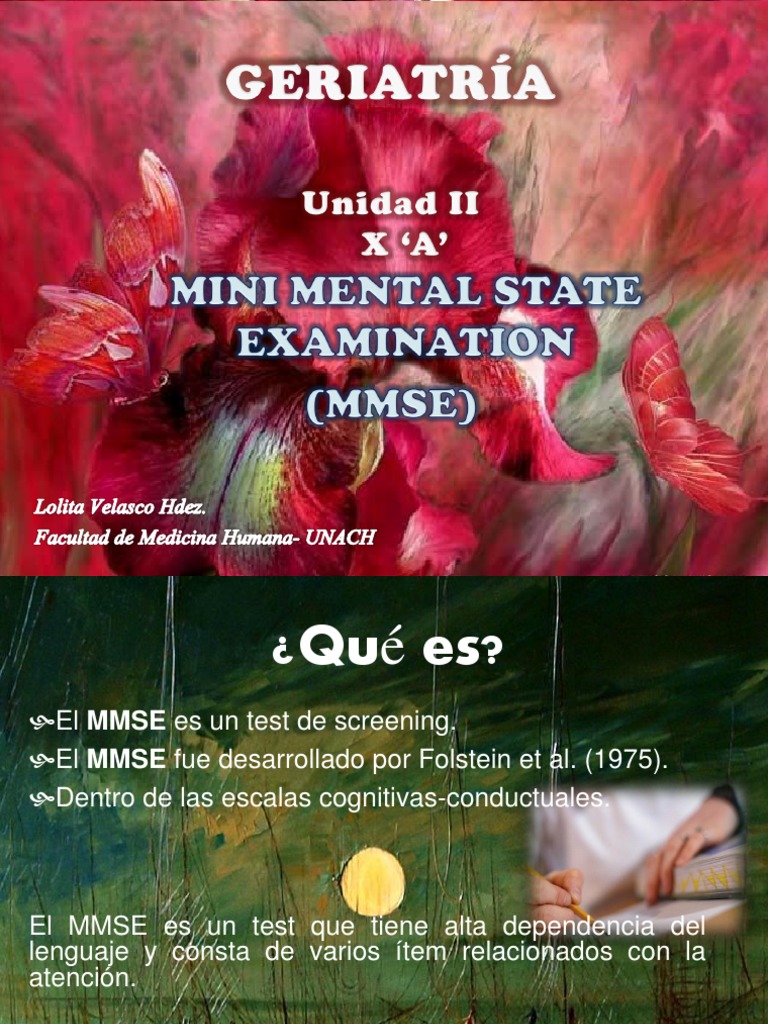 Mini Mental Test | PDF