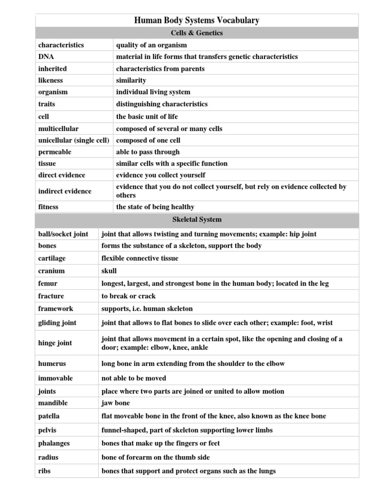 Human Body Systems Vocabulary | PDF | Lung | Breathing