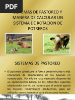 Semana 12 - El Pastoreo, Tipos de Pastoreo, Leyes Del Pastoreo Rotacional, Principios Básicos ...