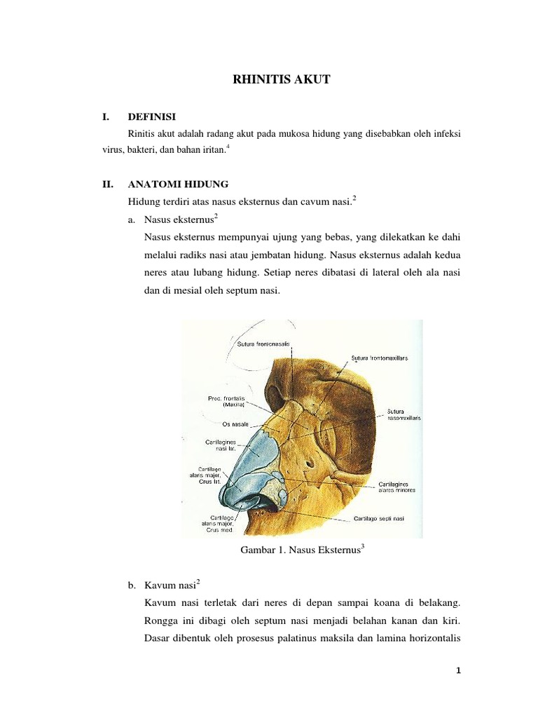 Referat Rhinitis Akut | PDF