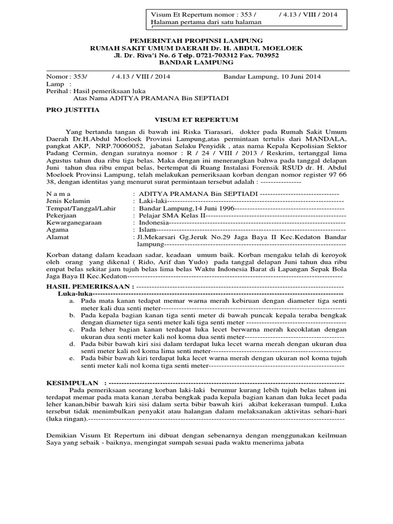 Visum Luka Print | PDF