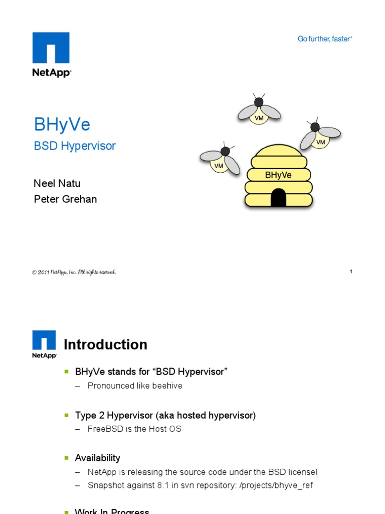 BHyVe: BSD Hypervisor Overview | PDF