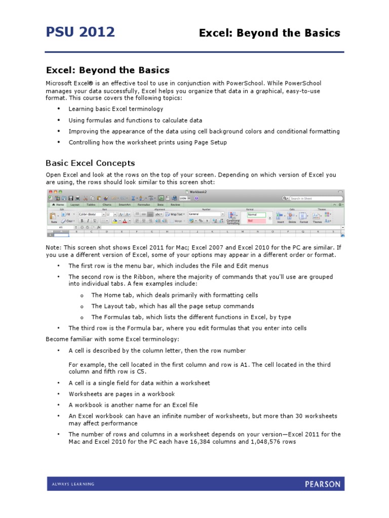 ExcelBasics Handout | Download Free PDF | Microsoft Excel | Software