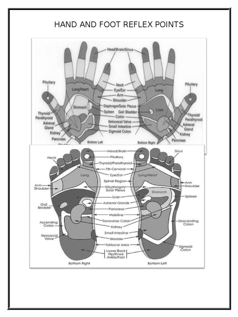 Hand and Foot Reflexology Points Guide | PDF