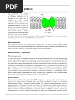 Función y Mecanismo de Bombas de Calcio | PDF | Calcio | Membrana celular