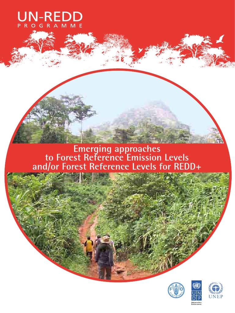 Emerging Approachesto Forest Reference Emission Levelsand/or Forest ...
