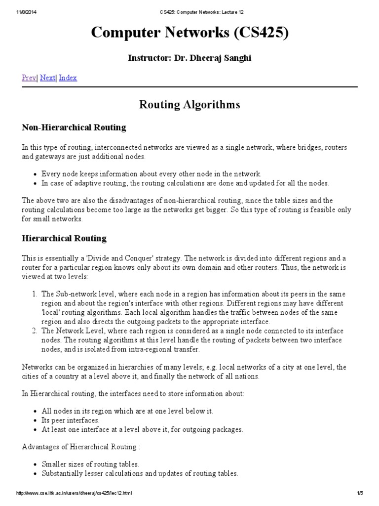 Computer Networks (CS425) : Routing Algorithms | PDF | Routing | Computer Network