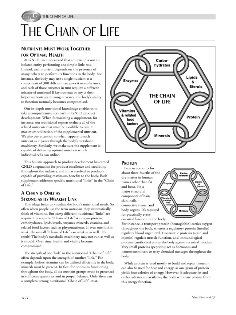 GNLD's Look at The Chain of Life | PDF | Nutrition | Diet & Nutrition