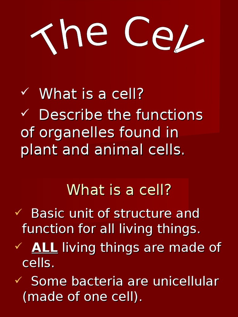 Functions and Parts of Cells Explained | PDF | Cell Nucleus | Cell ...
