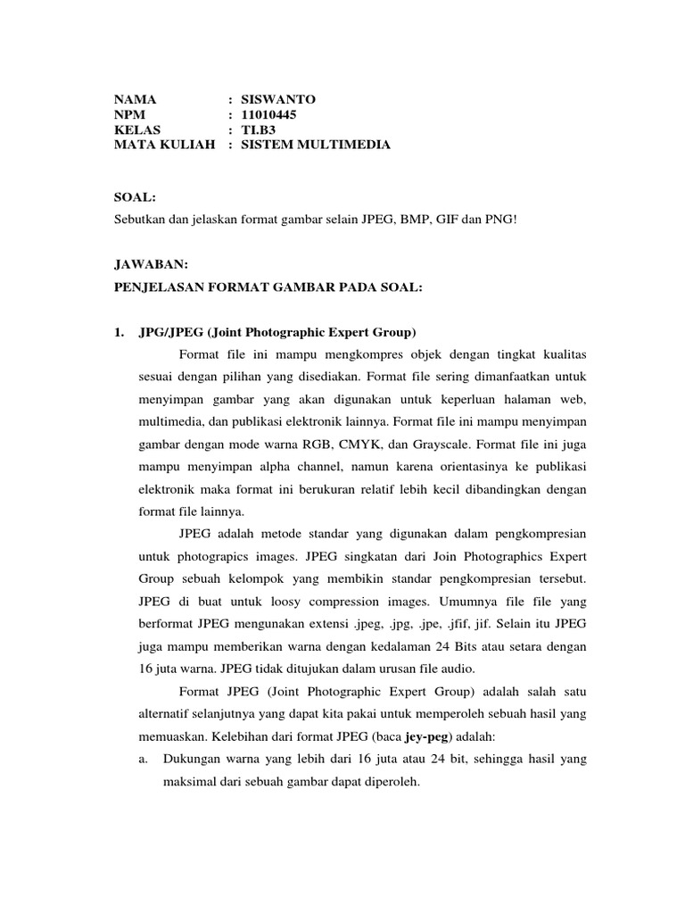 Macam-Macam Format Gambar | PDF