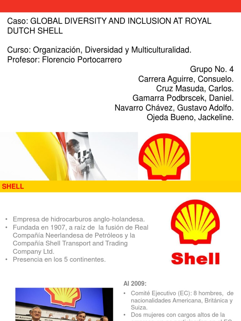 Representing Diversity and Inclusion at Royal Dutch Shell: A Case Study ...
