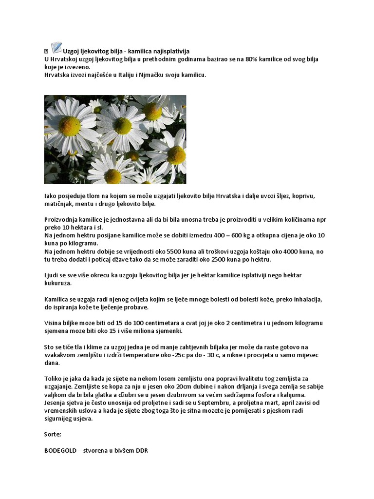 Uzgoj Ljekovitog Bilja | PDF