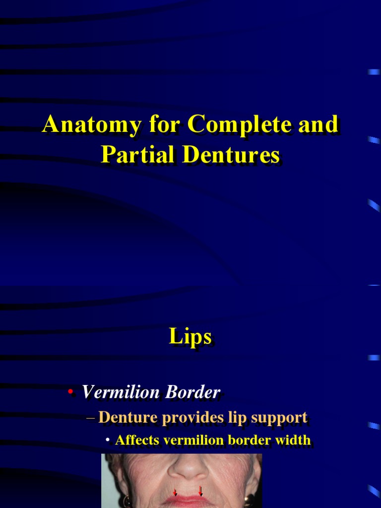 Anatomy Guide for Complete and Partial Dentures | PDF