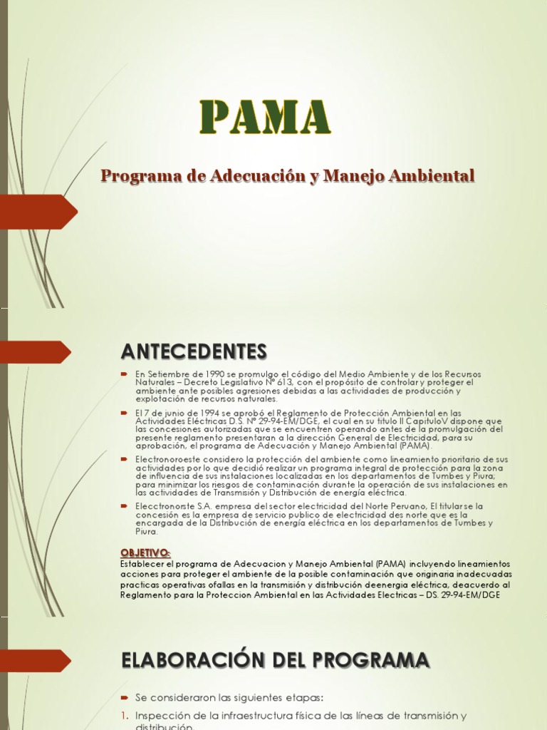 Pama Aplicado A Una Central Hidroelectrica | PDF | Transmisión de ...