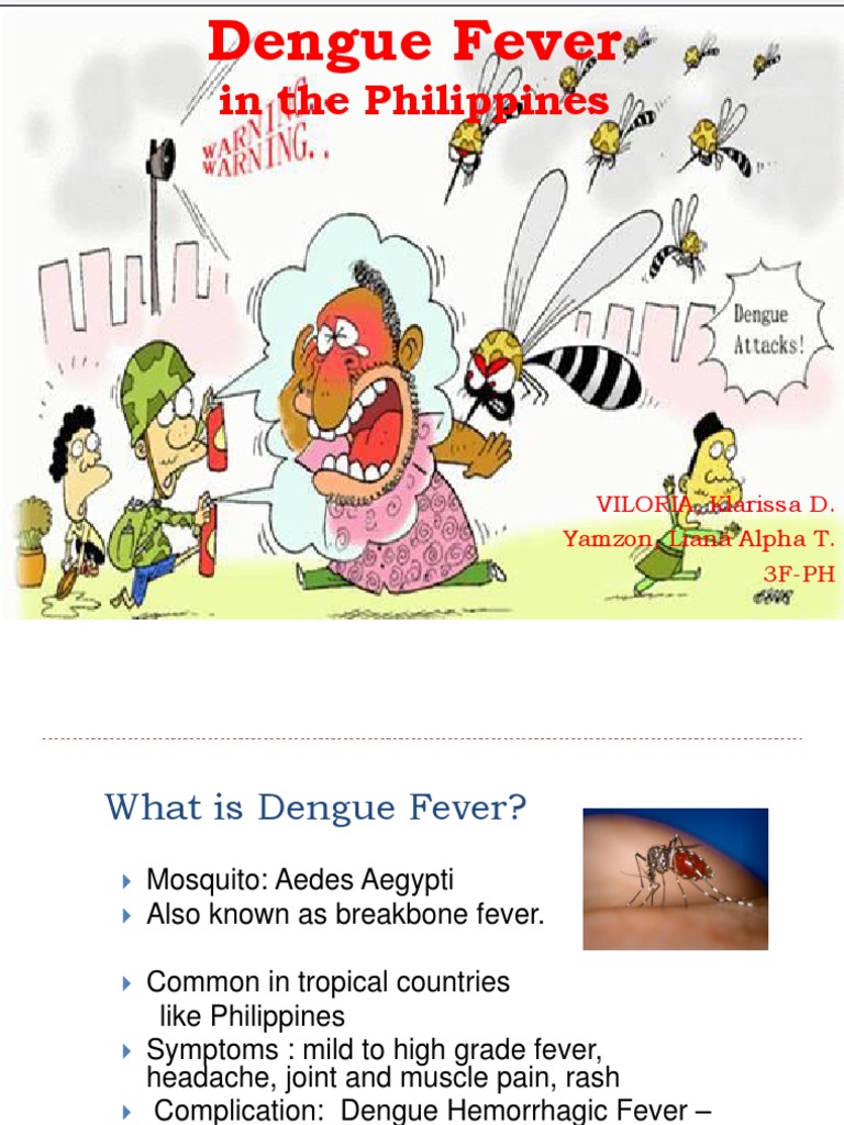 Dengue Ppt(1) | Epidemiology | Public Health