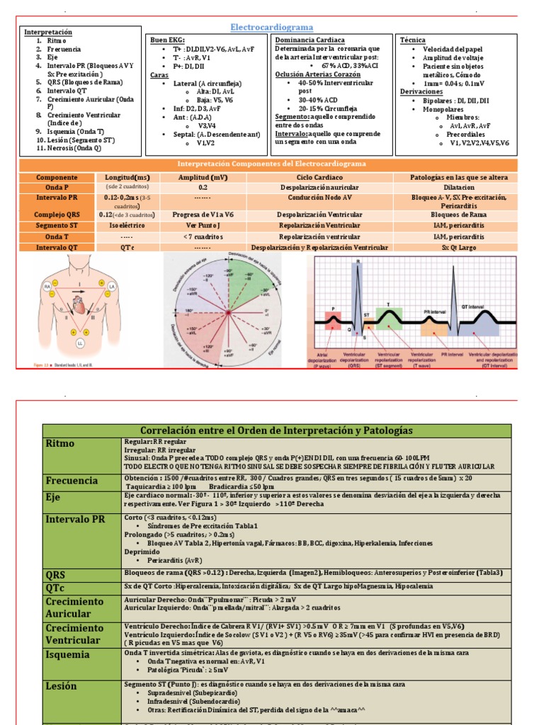 Lectura de Electrocardiograma | PDF | Electrocardiografia | Sistema cardiovascular