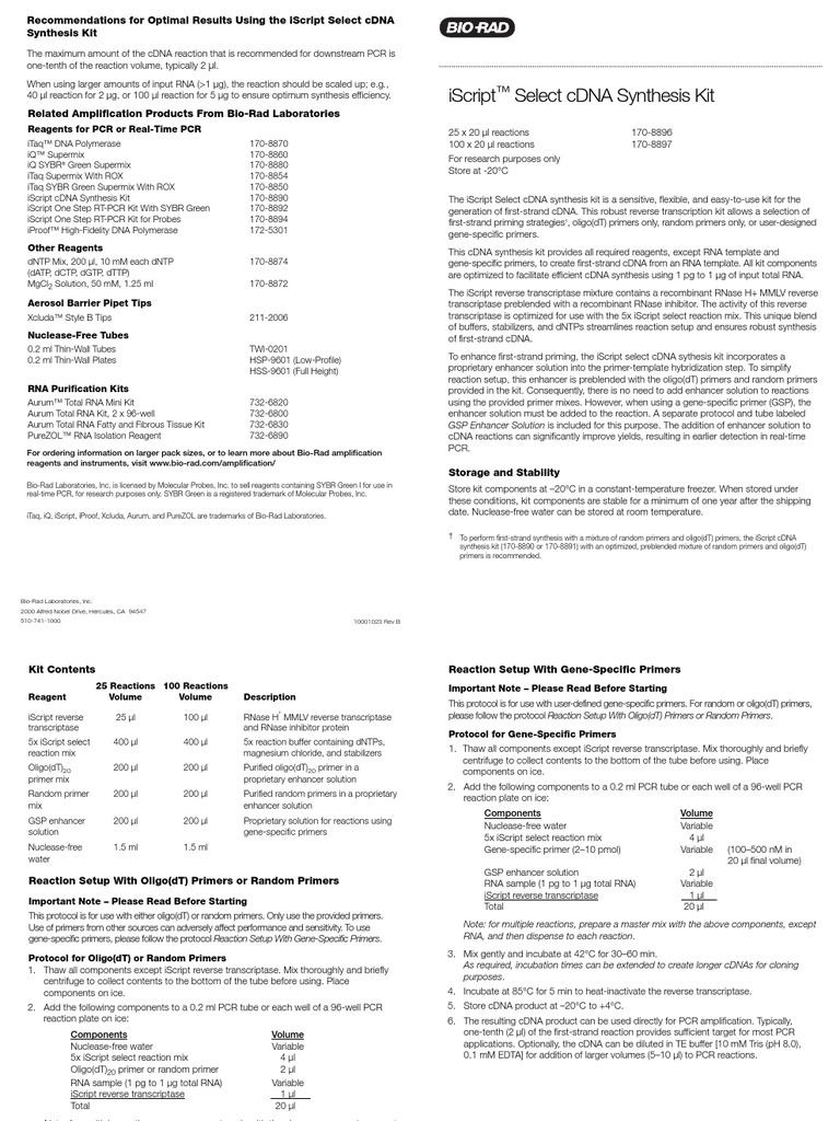 Instruction Manual, Iscript Select cDNA Synthesis Kit, Rev B | PDF ...