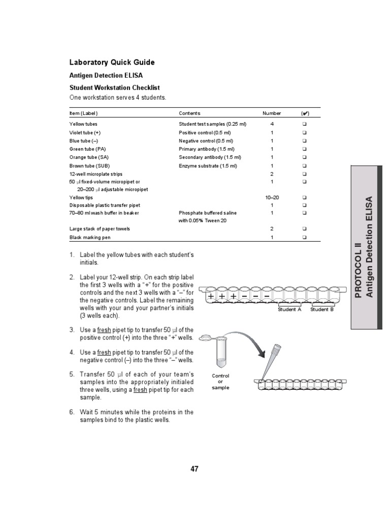 ELISA Protocol II (Antigen Detection), Biotechnology Explorer, Quick ...