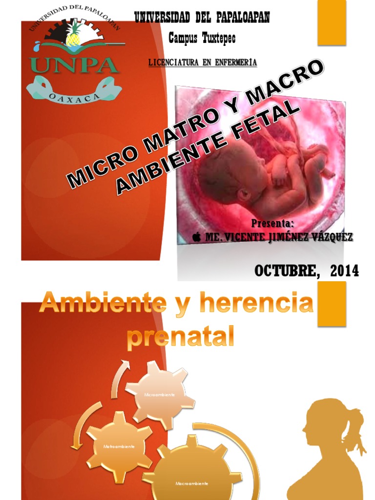 Matroambiente y desarrollo fetal | PDF | Placenta | El embarazo