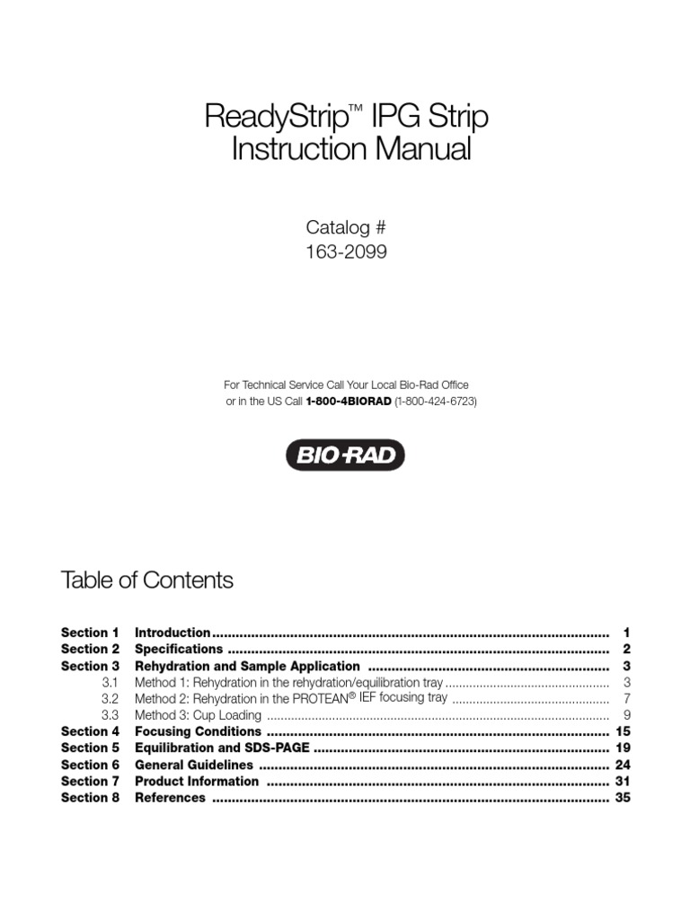 IPG Ready Strip Instructions | PDF | Gel Electrophoresis | Agarose Gel ...