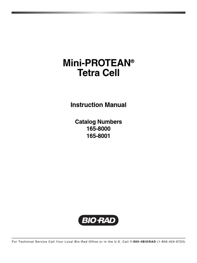 Mini Protean Instructions Download Free Pdf Gel Electrophoresis