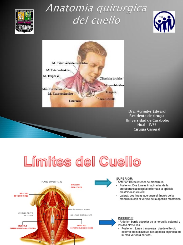 Anatomía Quirúrgica del Cuello | PDF | Sistema esquelético | Sistema ...