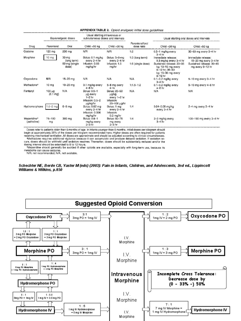 Opioid Conversion Ratios Guide | PDF