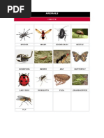 Fish Names in Marathi | PDF | Fishing Industry | Aquatic Animals