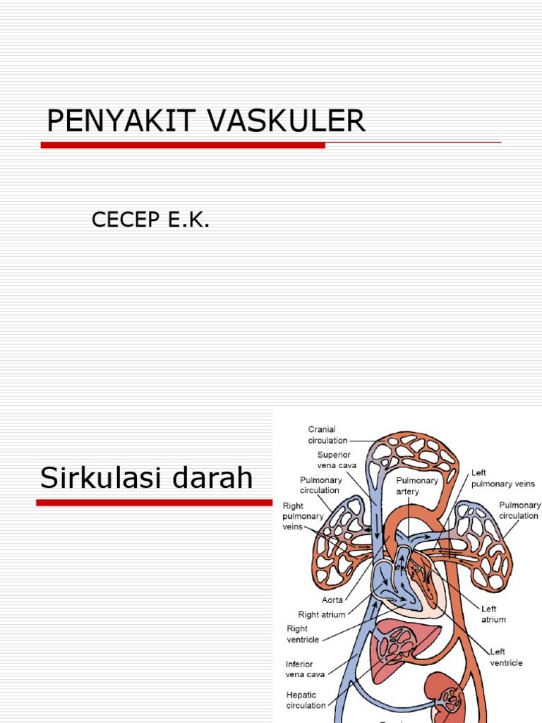 Penyakit Vaskuler | PDF | Lymphatic System | Angiology