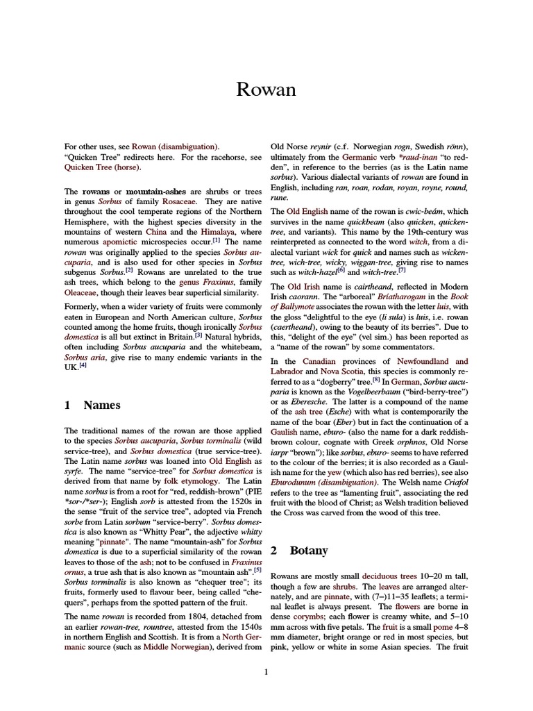 Rowan Tree | PDF | Nature