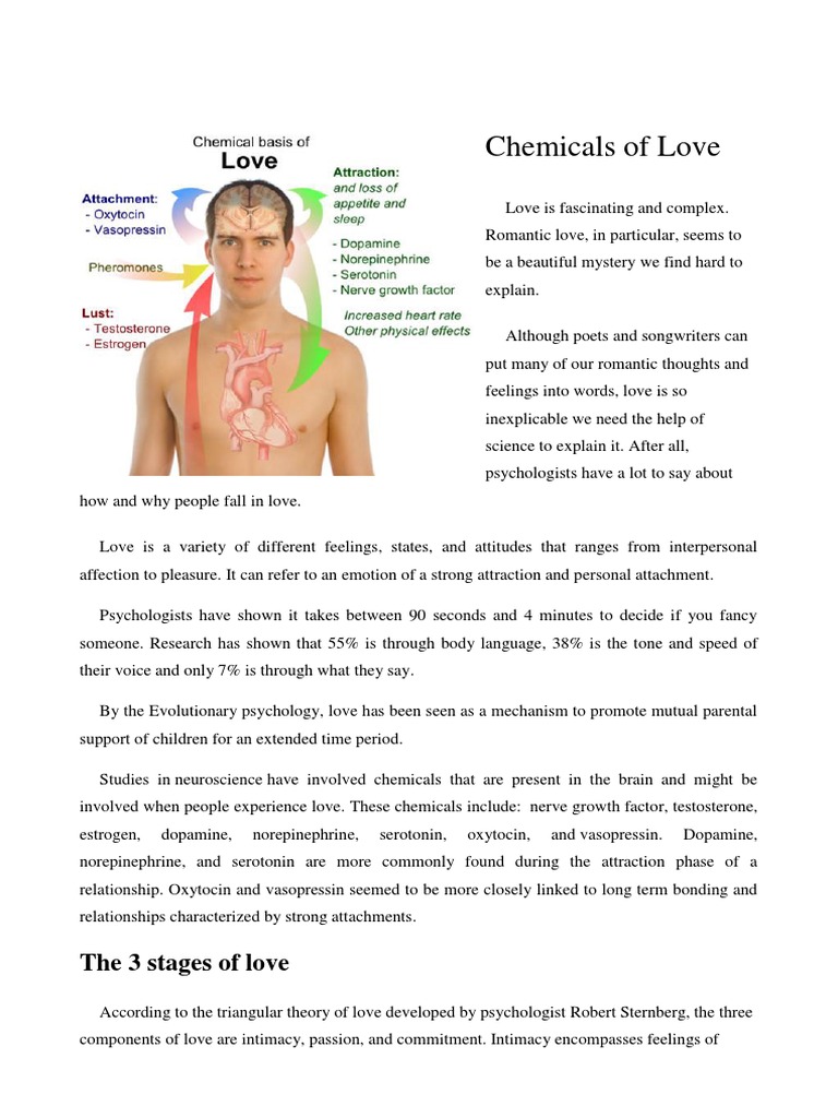 Chemicals of Love | PDF | Romance (Love) | Love