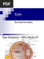 Understanding Normal Eye Anatomy | PDF | Facial Features | Eye