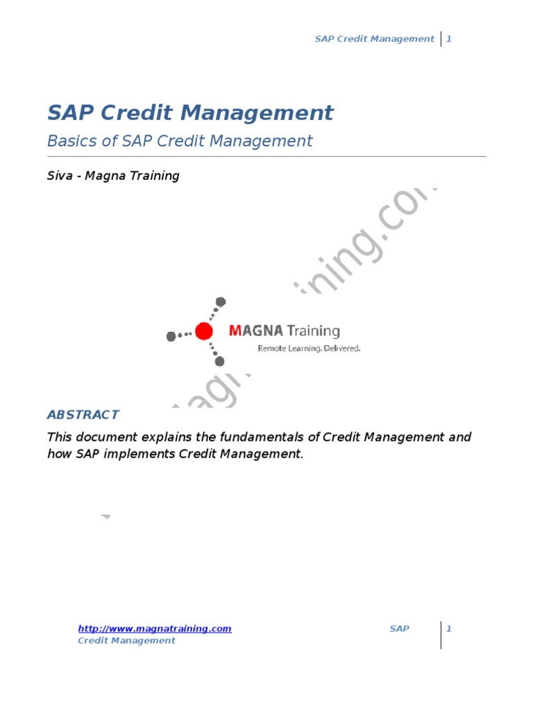 SAP Credit Management | PDF
