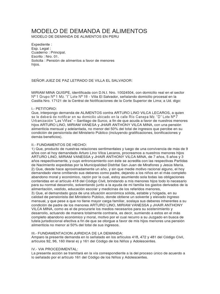 Modelo de Demanda de Alimentos | Demanda judicial | Venezuela | Prueba ...