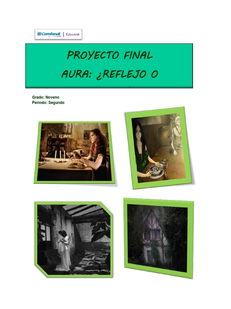 Proyecto Final Segundo Periodo Grado Noveno | PDF
