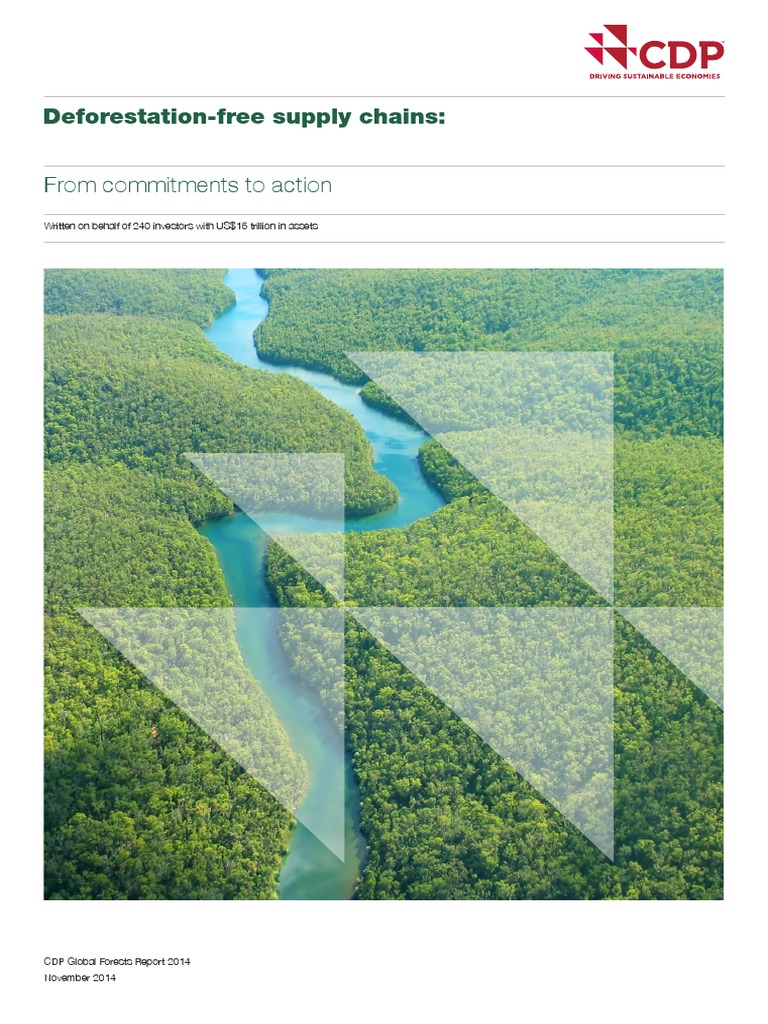 Deforestation-Free Supply Chains: From Commitments To Action | PDF ...