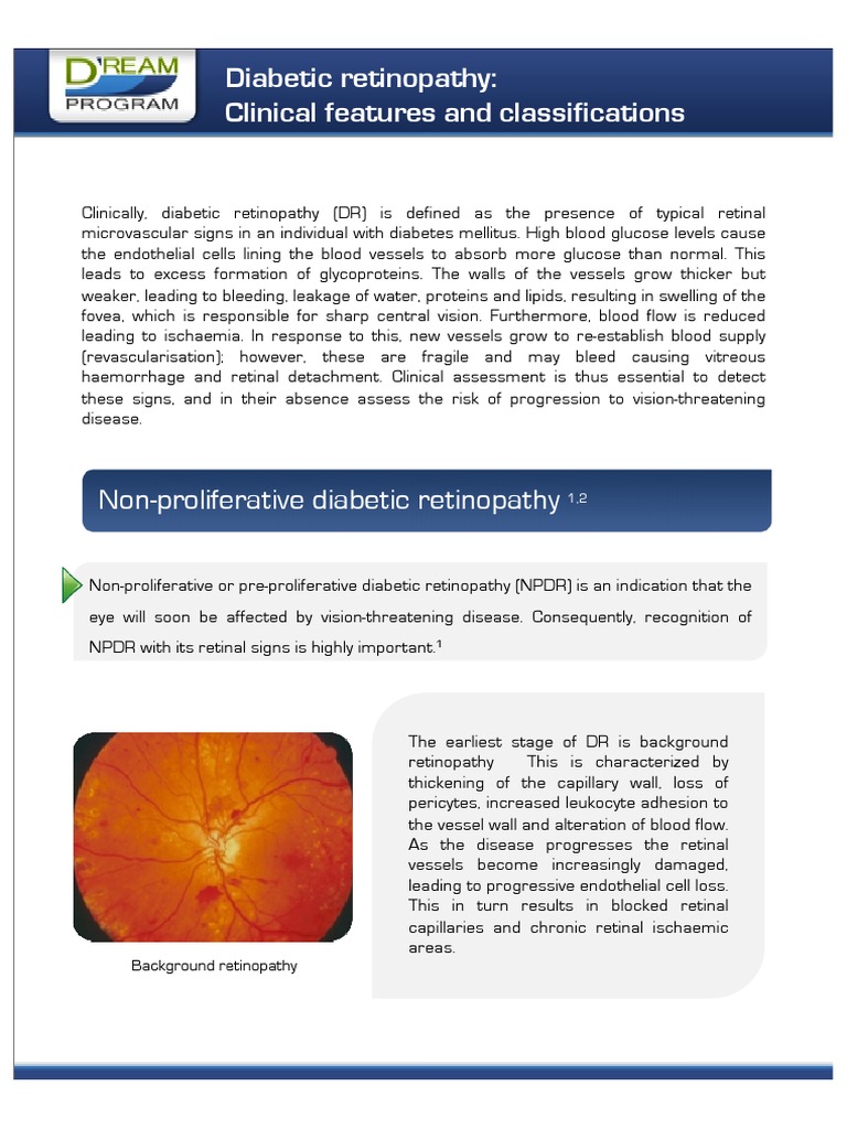02 DR-Classification PDF | PDF | Retina | Visual System