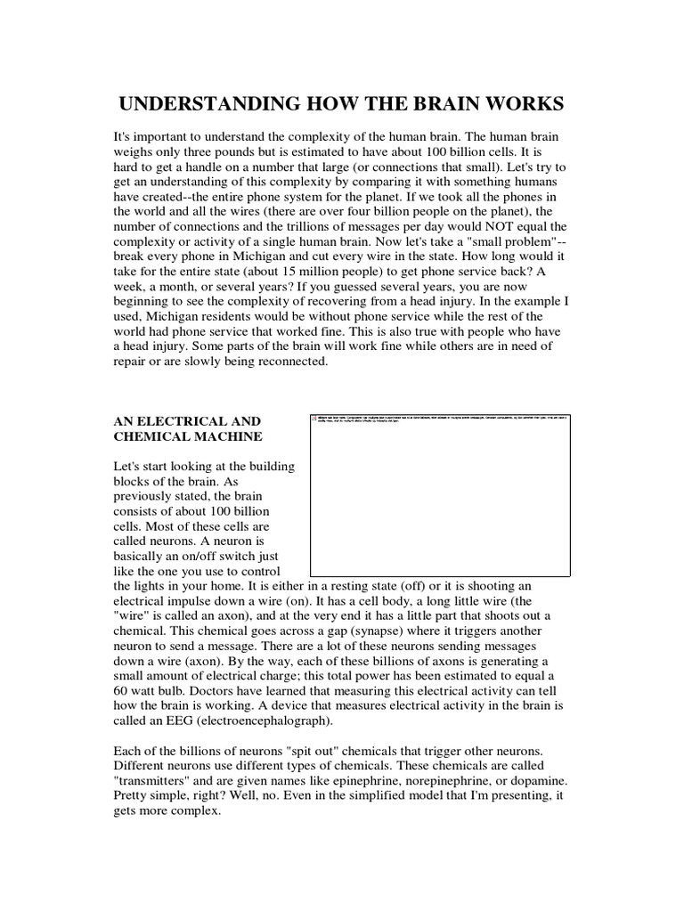 How The Brain Works | Download Free PDF | Lateralization Of Brain ...