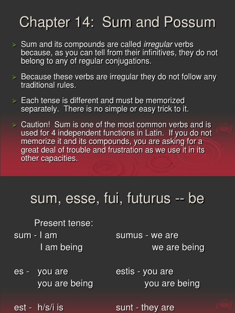 Chapter 14: Sum and Possum | PDF | Grammatical Conjugation | Linguistic ...