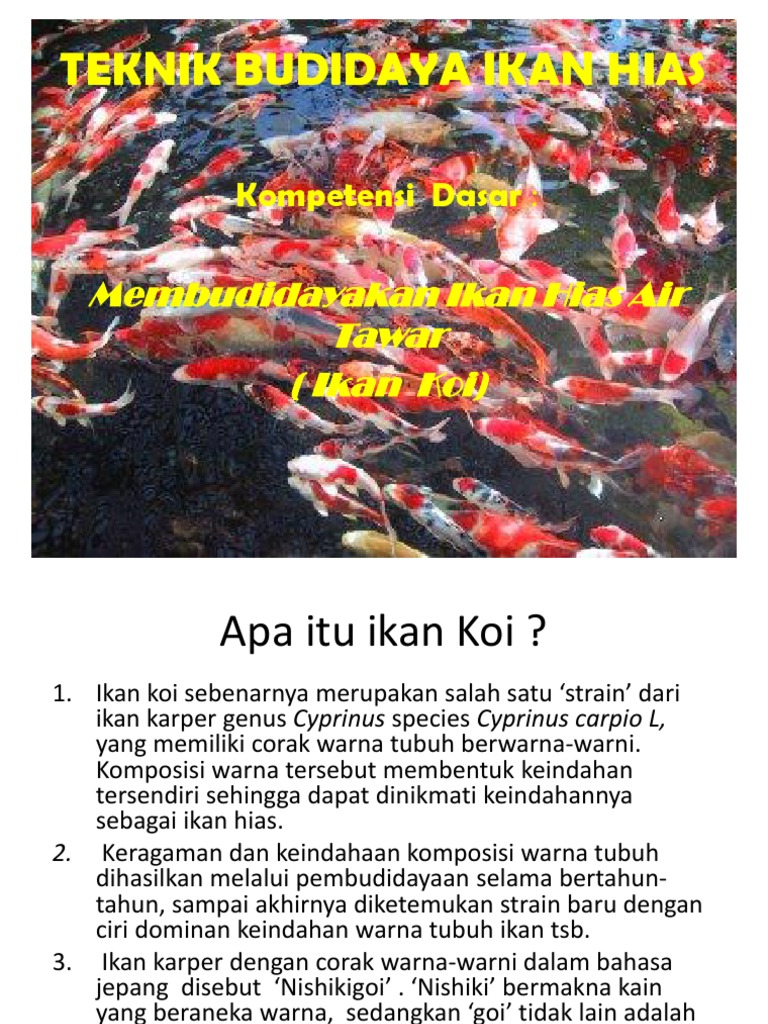 Teknik Budidaya Ikan Koi | PDF